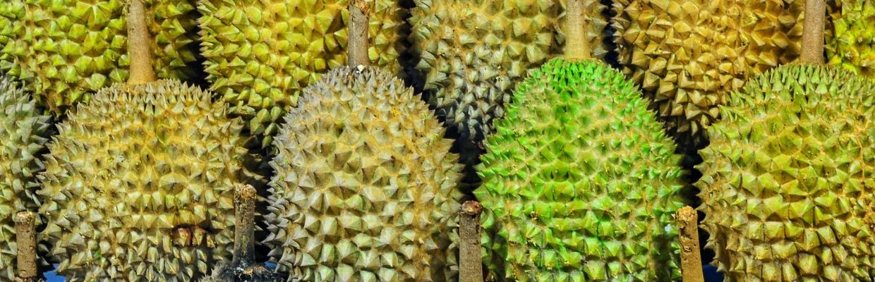 Durian: fructul cu efecte anticancerigene, reguli de consum