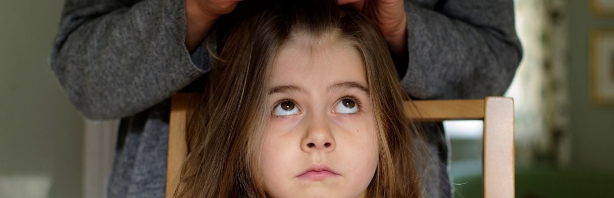 Mituri despre infestarea cu paduchi - pediculoza