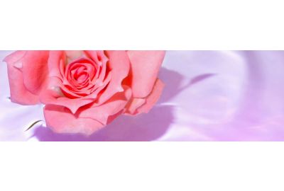 Apa de trandafiri: un elixir natural pentru frumusete si sanatate