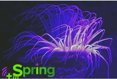 Infectia cu oxiuri: Cum se transmite, simptome, preventie si tratament