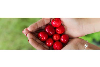 Acerola: Fructul exotic care ajuta la intarirea sistemului imunitar