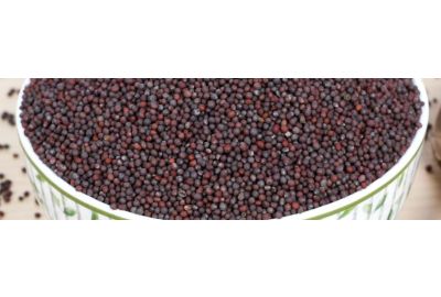 Mustarul negru: proprietati, beneficii, utilizare