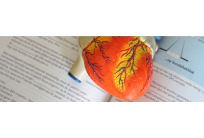 Sanatatea inimii: Totul despre capilare, cele mai mici vase de sange ...