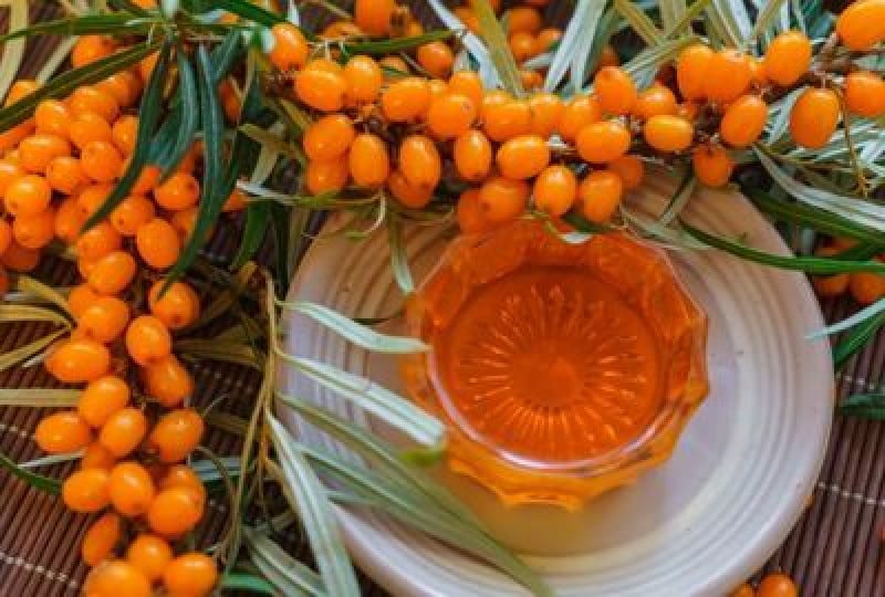 Catina: proprietati, beneficii pentru sanatate si imunitate | Spring Farma