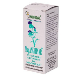 HOFIGAL Mag-Anghinar, 40 comprimate