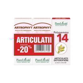 Pachet Plantextrakt Articulatii