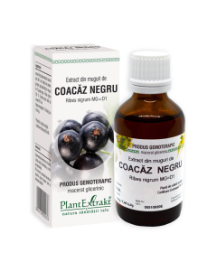 Extract din muguri de Jneapan, 50 ml, Plant Extract