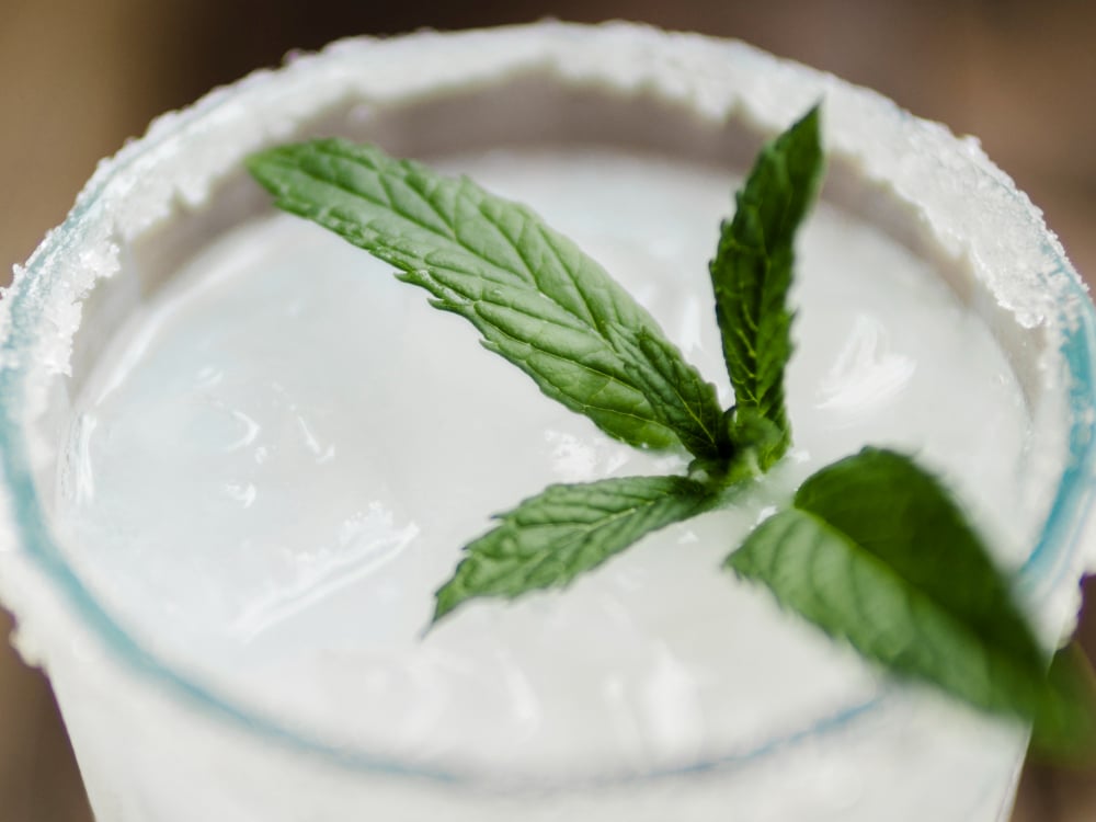 Stevia: beneficii, proprietati, utilizari, cum sa o consumi corect