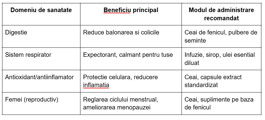 Fenicul: beneficii pentru sanatate si utilizari – Spring Farma