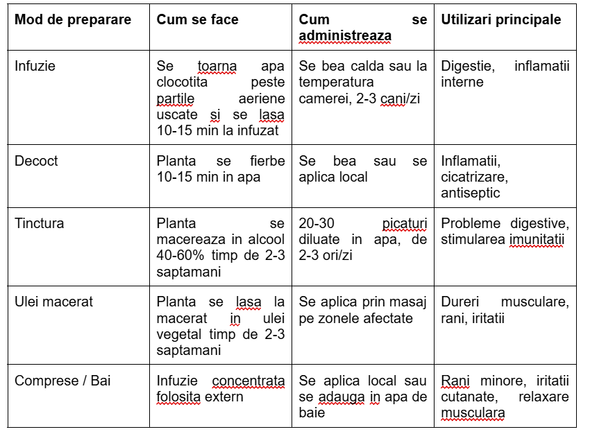 Coada soricelului: beneficii, utilizari si precautii