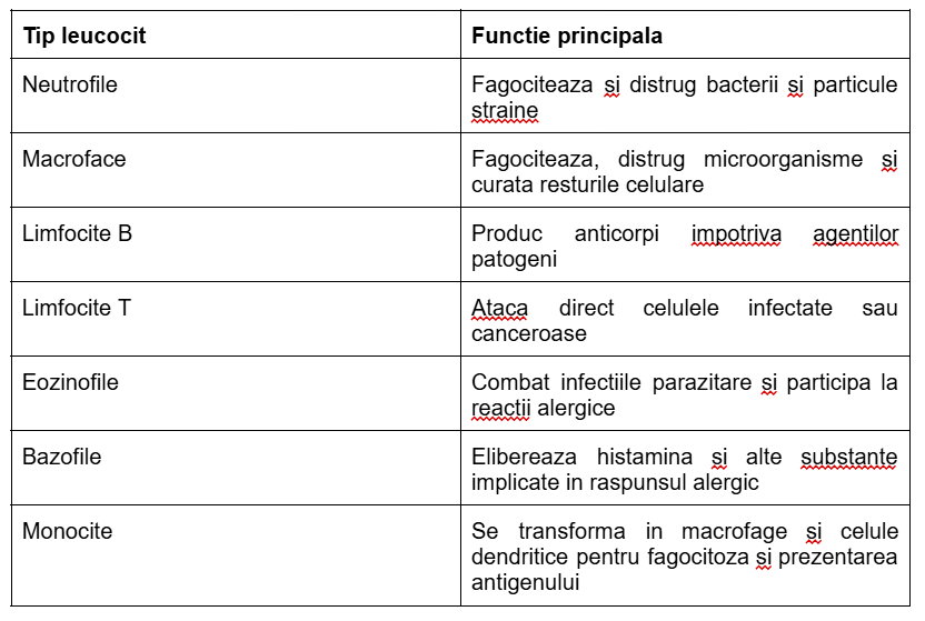 Cum recunosti si tratezi leucocitele scazute (leucopenia)