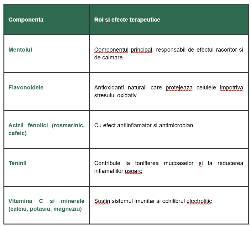 Ceai de menta: beneficii, proprietati, contraindicatii. Spring Farma