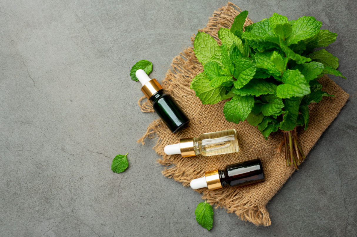 Menta: beneficii, utilizari si proprietati pentru digestie si relaxare